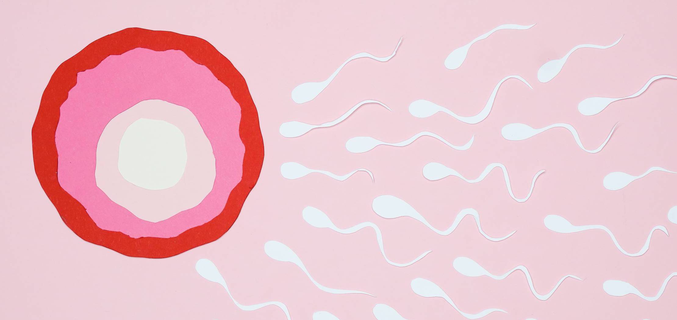 Comprehensive Fertility Treatment - Lilyfields Medical Center